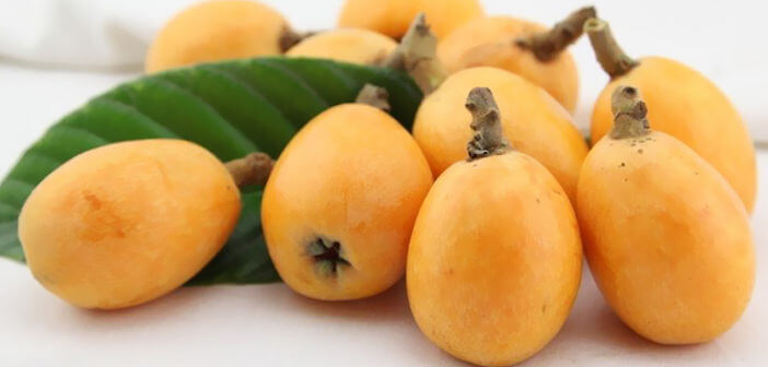 Nespole: varietà, proprietà e superstizioni